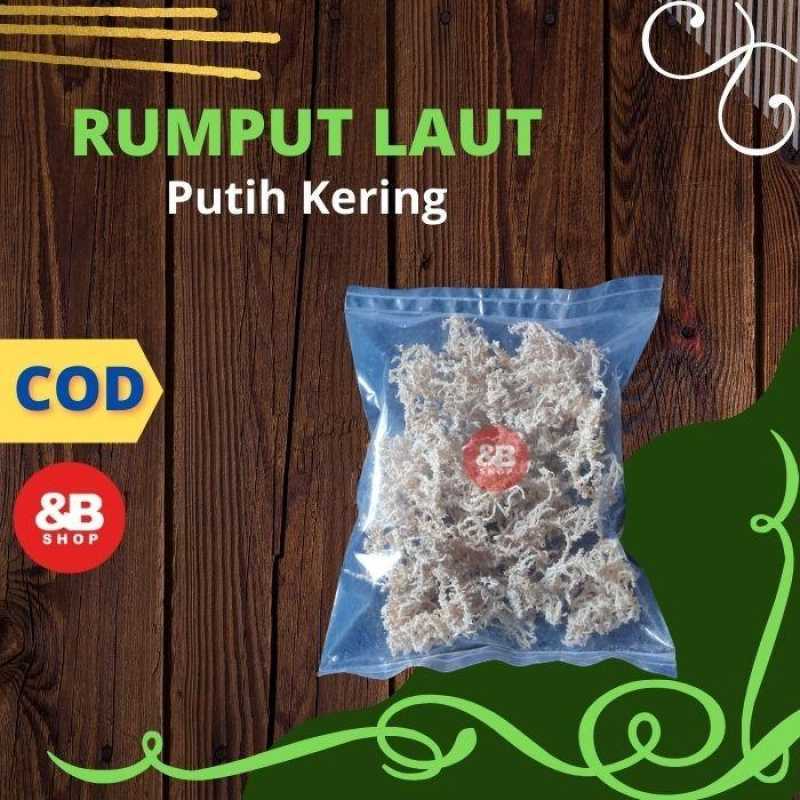 Jual rumput laut putih kering kemasan 100 gram rumput laut cattoni di ...