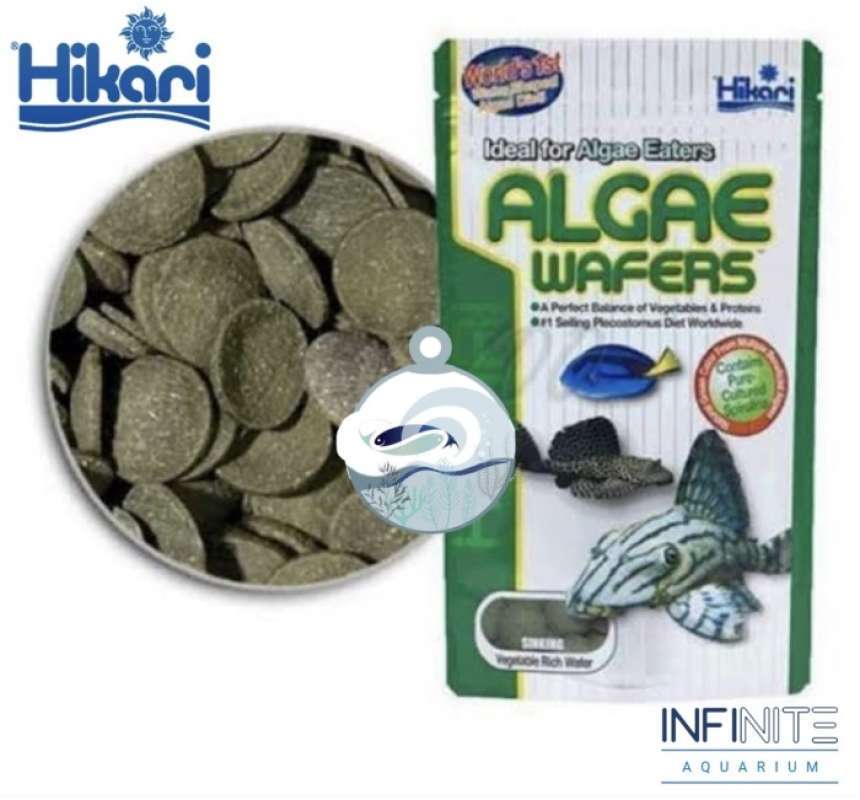 Promo Hikari Algae Wafers / Wafer 82 gr Makanan Algae Eaters Diskon 23% ...