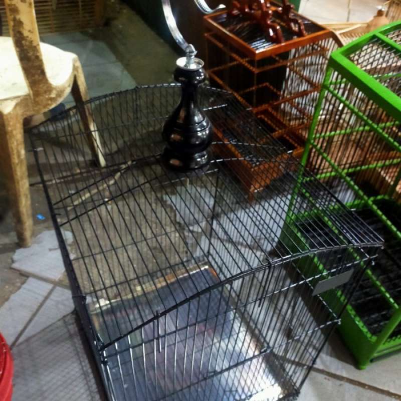 Promo Sangkar Kotak Besi Gantung Diskon 23% Di Seller Sumber Raharja ...