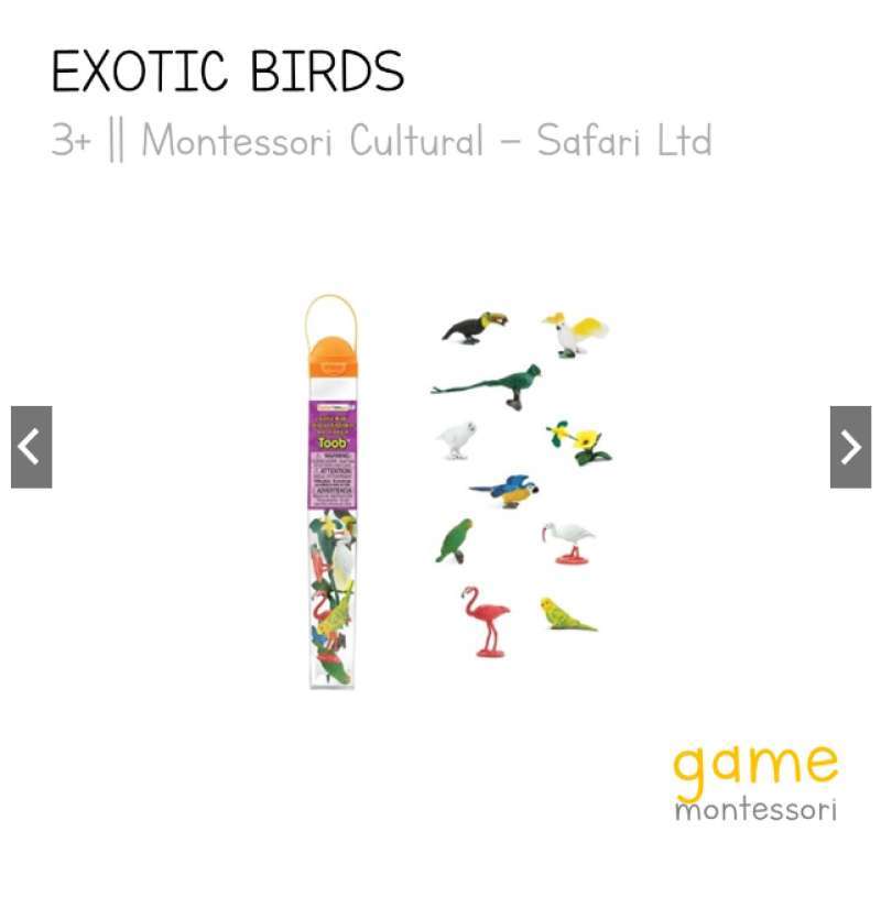 Jual Safari Ltd Exotic Birds di Seller GAME Montessori - GAME GADING ...