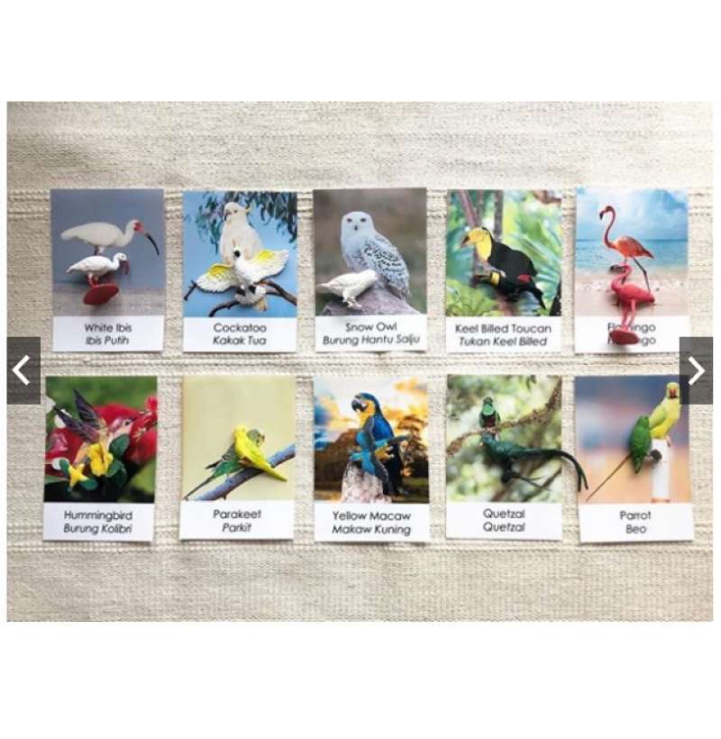 Jual Safari Ltd Exotic Birds di Seller GAME Montessori - GAME GADING ...