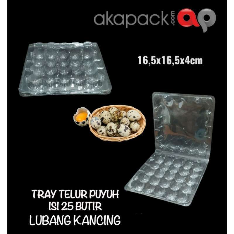 Jual Egg Plastik Mika 💯 Harga Murah & Kualitas Terbaik Januari 2026
