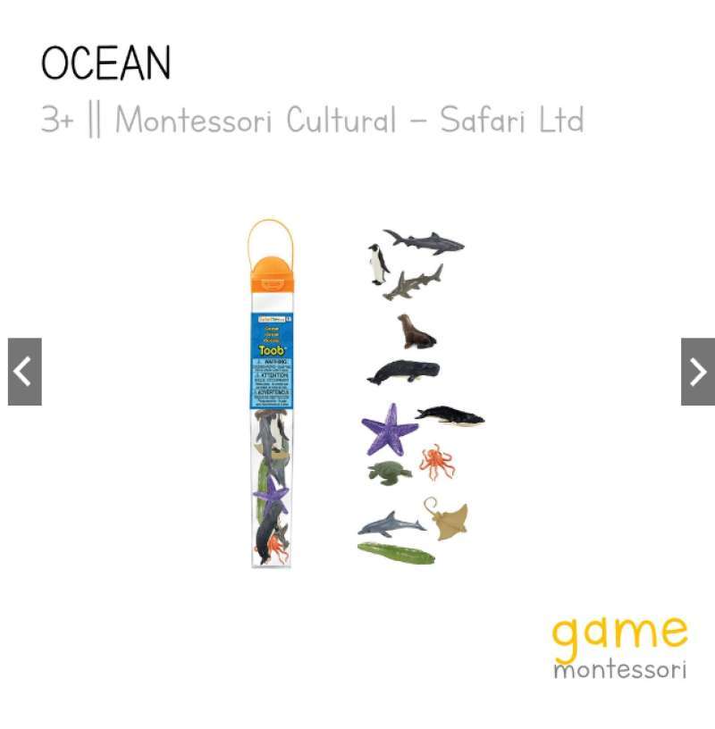 Jual Safari Ltd Ocean Animals Toob with 3 part cards di Seller GAME ...