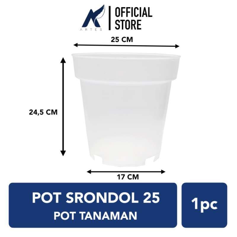 Jual Srondol 25 Pot Tinggi Ruplas Tanaman Tumbuhan Hias Bunga Dll 24 Cm ...