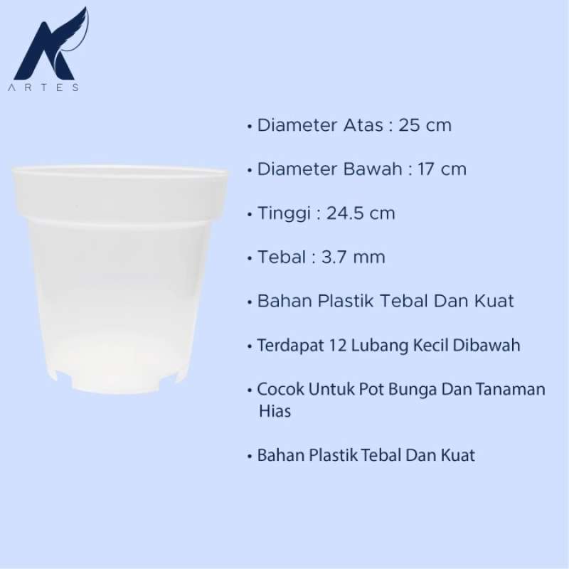 Jual Srondol 25 Pot Tinggi Ruplas Tanaman Tumbuhan Hias Bunga Dll 24 Cm ...