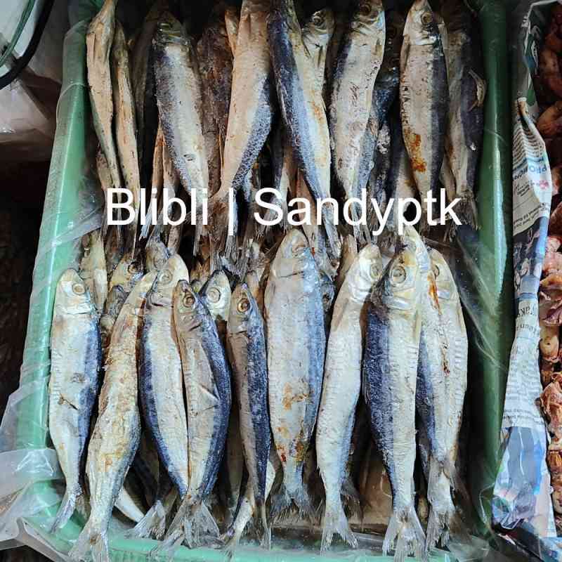 Jual Ikan Tamban Kibinago Asin Bulat Mirip Ikan Herring Haring Di ...