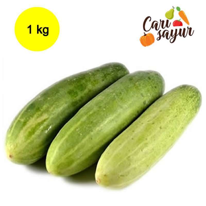 Jual Harga Timun 1 Kg Murah - Harga Grosir Juli 2024 | Blibli