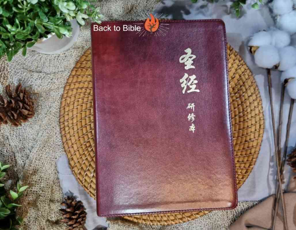 Promo Alkitab Chinese Mandarin Study Bible 研修本圣经 Diskon 23% Di Seller ...