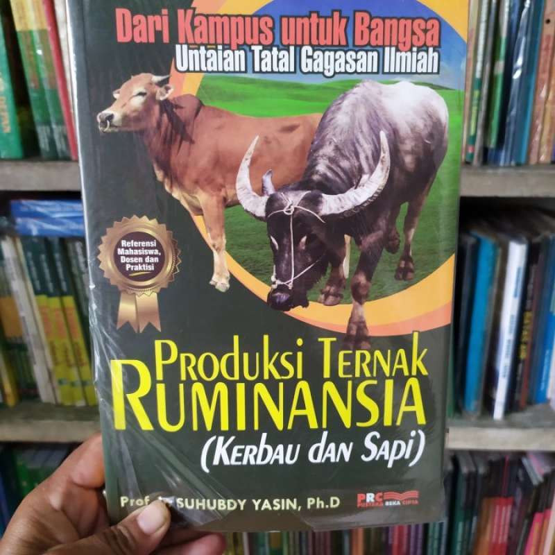 Promo Produksi Ternak Ruminansia Kerbau Dan Sapi Diskon 23% di Seller ...
