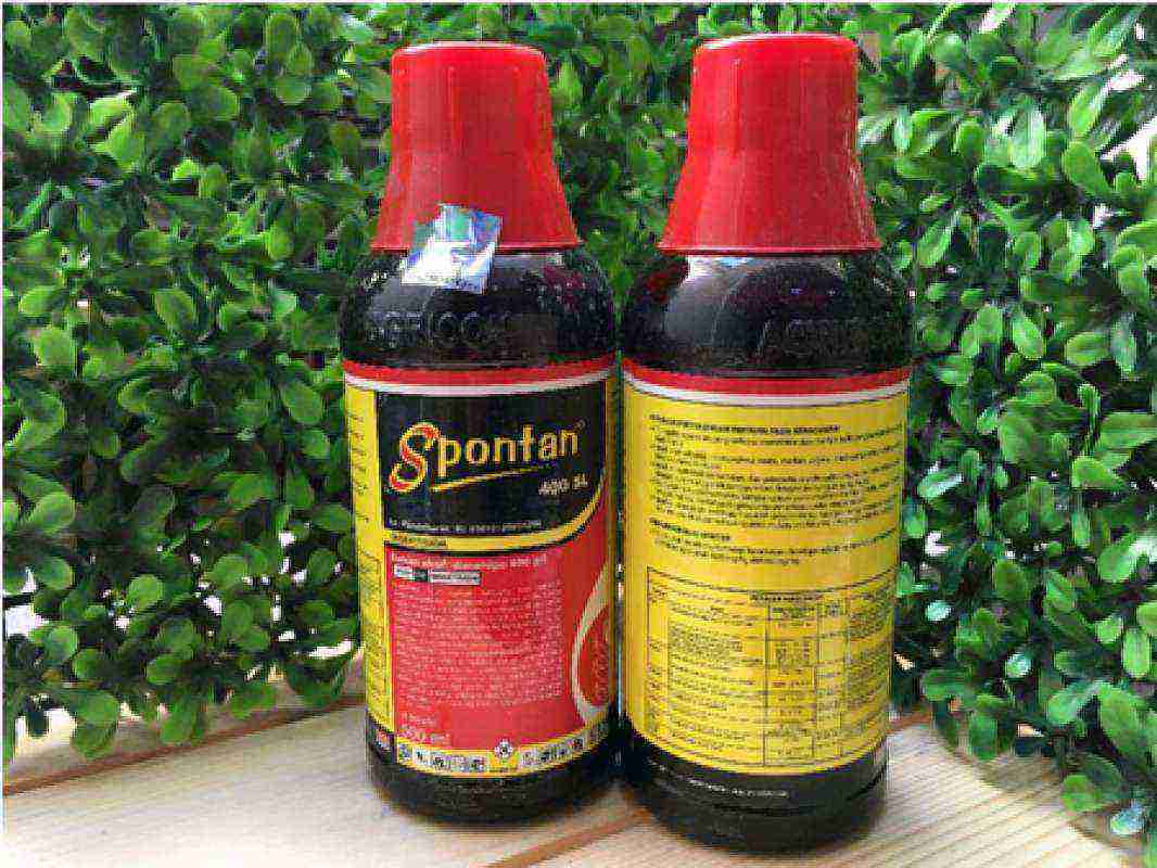 Jual Insektisida Spontan 400 Sl - 500ml Di Seller Pardi Tani ...