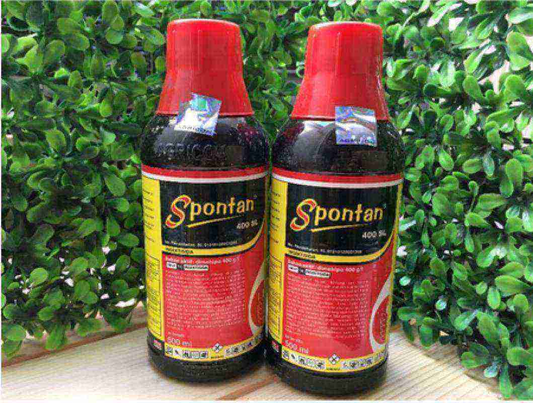 Jual Insektisida Spontan 400 Sl - 500ml Di Seller Pardi Tani ...