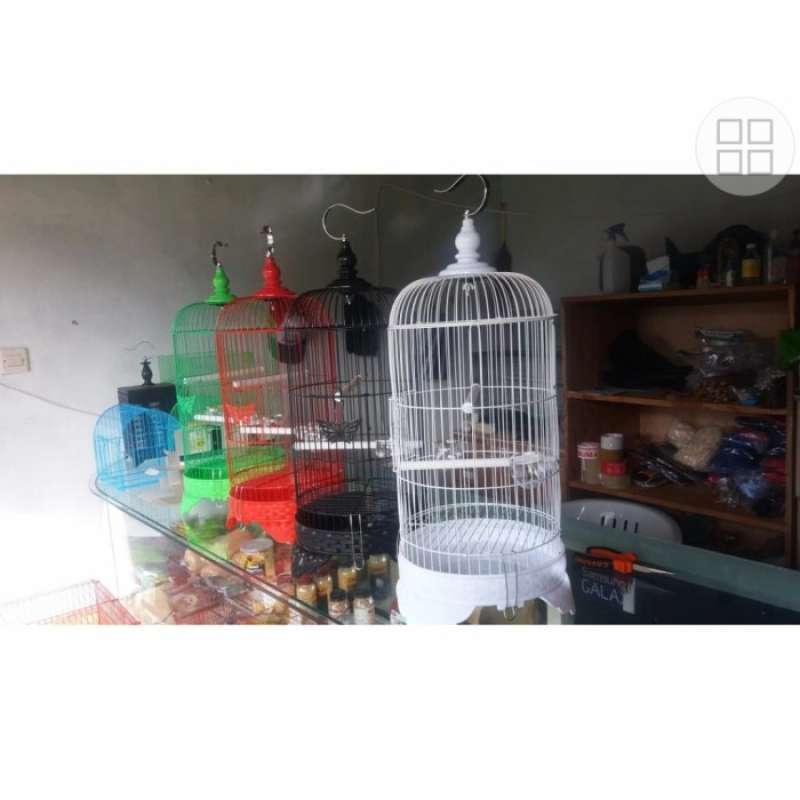 Promo Sangkar Burung Bulat Besi (import) Diskon 23% Di Seller Sparta ...