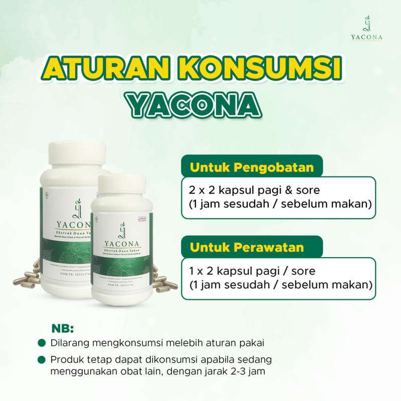 Promo Paket 3 Botol Yacona Original - Yacona Ekstrak Daun Yakon Ampuh ...