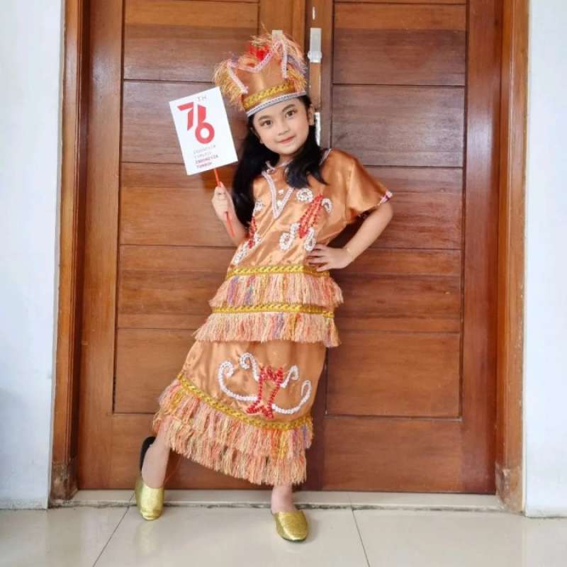 Promo Baju Adat Papua Anak / Pakaian Adat Papua Anak / Baju Adat Anak ...