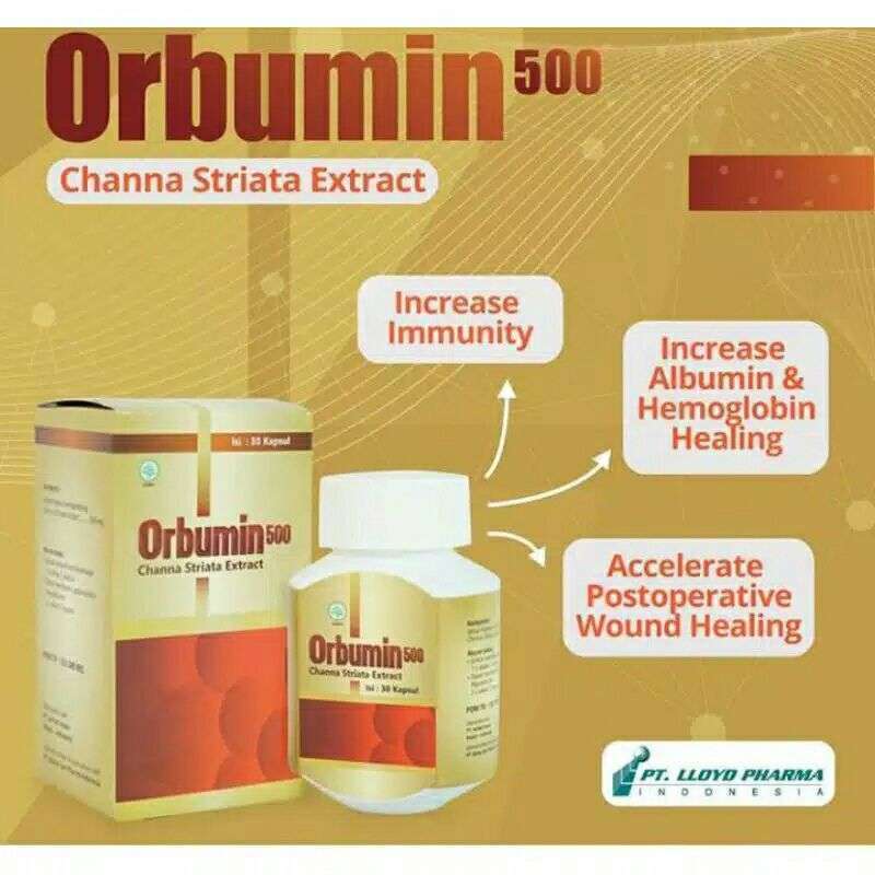 Jual Orbumin isi 30 Kapsul Setara dengan VipAlbumin di Seller Cv ...
