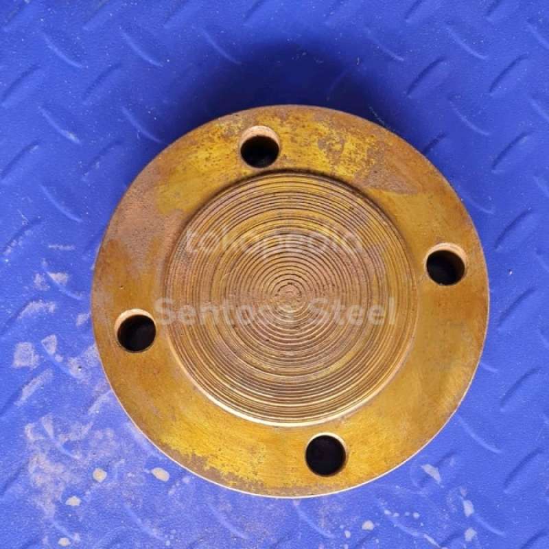 Promo Blind Flange Ansi 150 3 Inch Besi Diskon 23% Di Seller Thunder ...