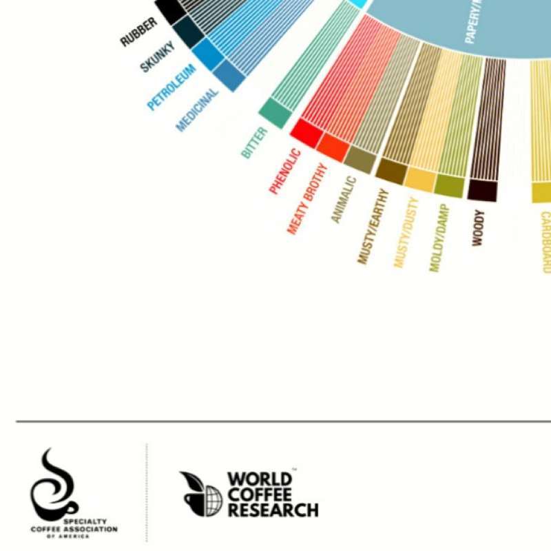 Promo Barista Basic Roda Rasa Kopi SCAA Bingkai Frame Kayu Premium A4 ...