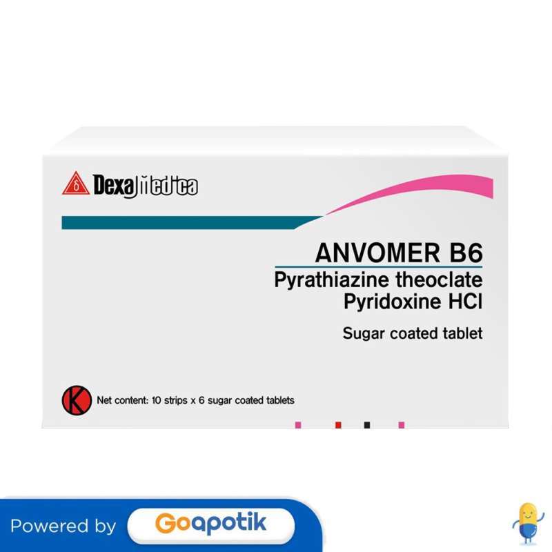 Jual Anvomer B6 Box 60 Tablet Di Seller Apotek Aslam - Rawa Badak ...