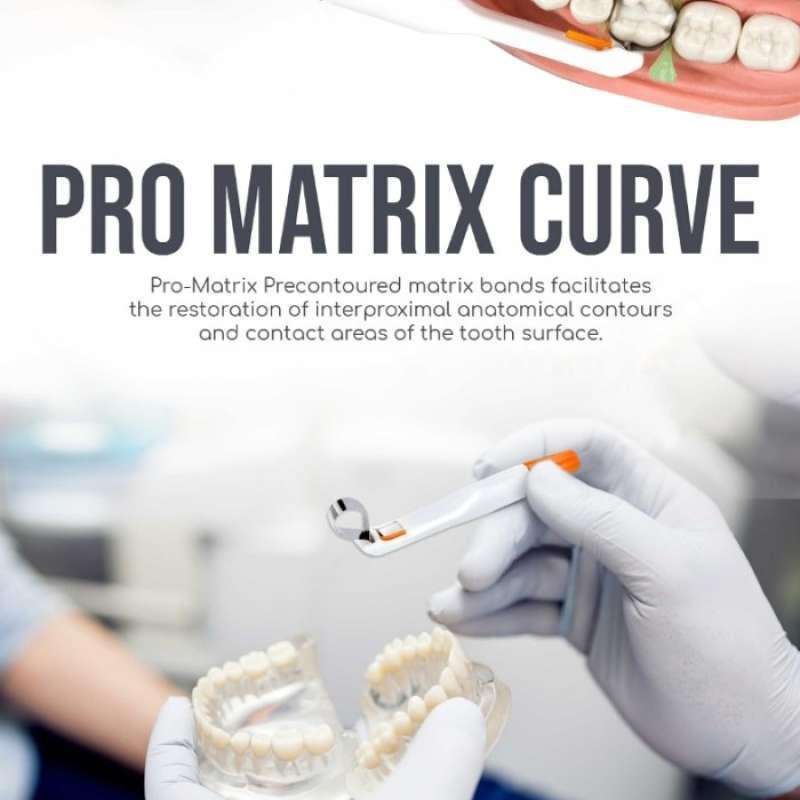 Promo Promatrix Curve//matrix With Handle//restorasi Kelas Ii Diskon 33 ...