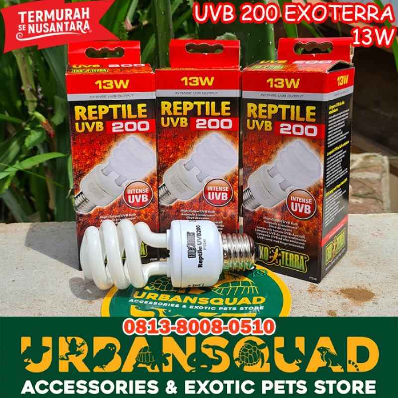 Promo LAMPU EXOTERRA UVB 200 13W REPTILE SULCATA KURA SULCATA PARDALIS ULAR Diskon 33% di Seller ...