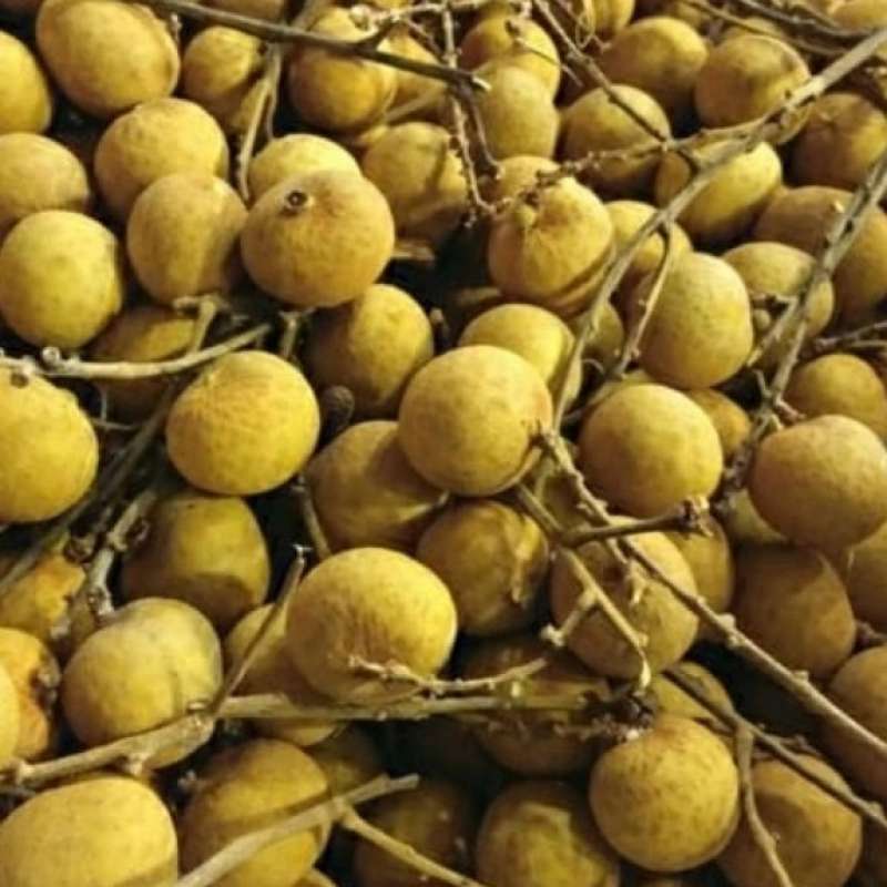 Jual Buah Buahan Segar Di Bandung Termurah - Harga Grosir Terupdate ...