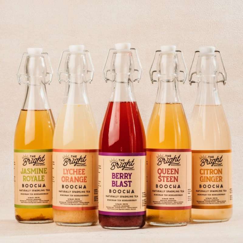 Promo Kombucha Paket Mix Bundle 5 Botol - Sparkling Tea Drink 500 Ml ...