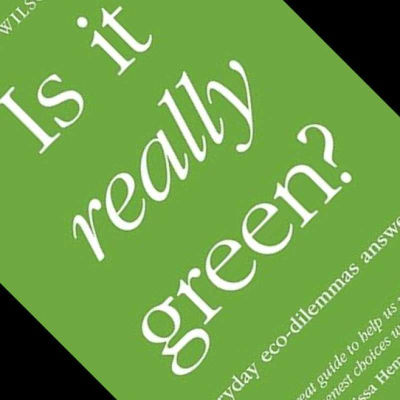Promo Is It Really Green – Georgina Wilson-Powell (ORIGINAL ENGLISH ...