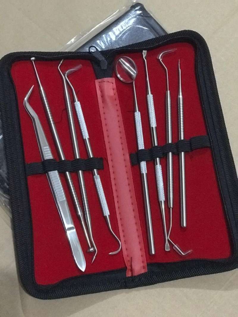 Promo Dental Kit Set 8pcs Alat Dokter Gigi Dental Instrument Perawatan ...