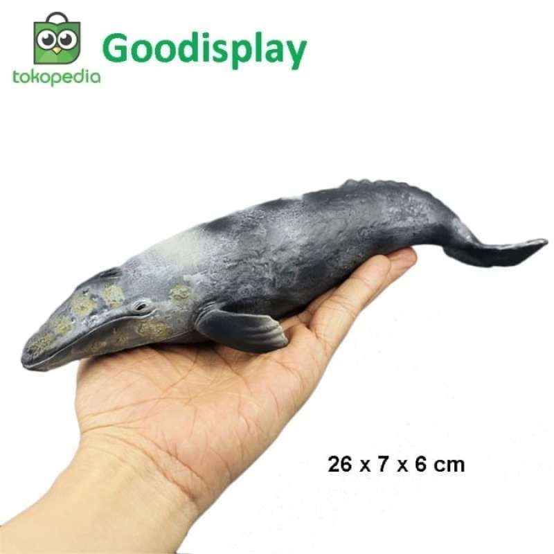 Promo mainan model simulasi figur hewan laut ikan paus kelabu gray ...