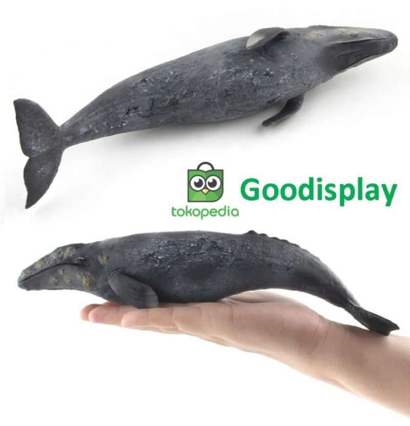 Promo mainan model simulasi figur hewan laut ikan paus kelabu gray ...