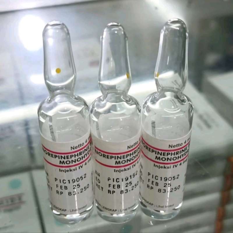 Norepinephrine Lengkap Harga Terbaru Juni 2024 | Blibli