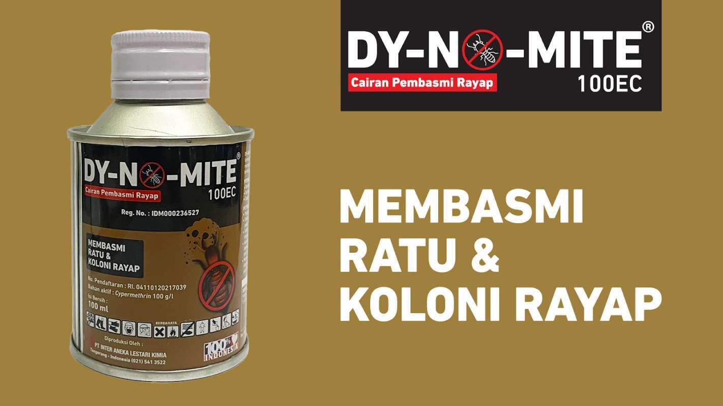 Jual Dynomite 100 Ml Obat Pembasmi Rayap, Obat Rayap, Racun Rayap ...