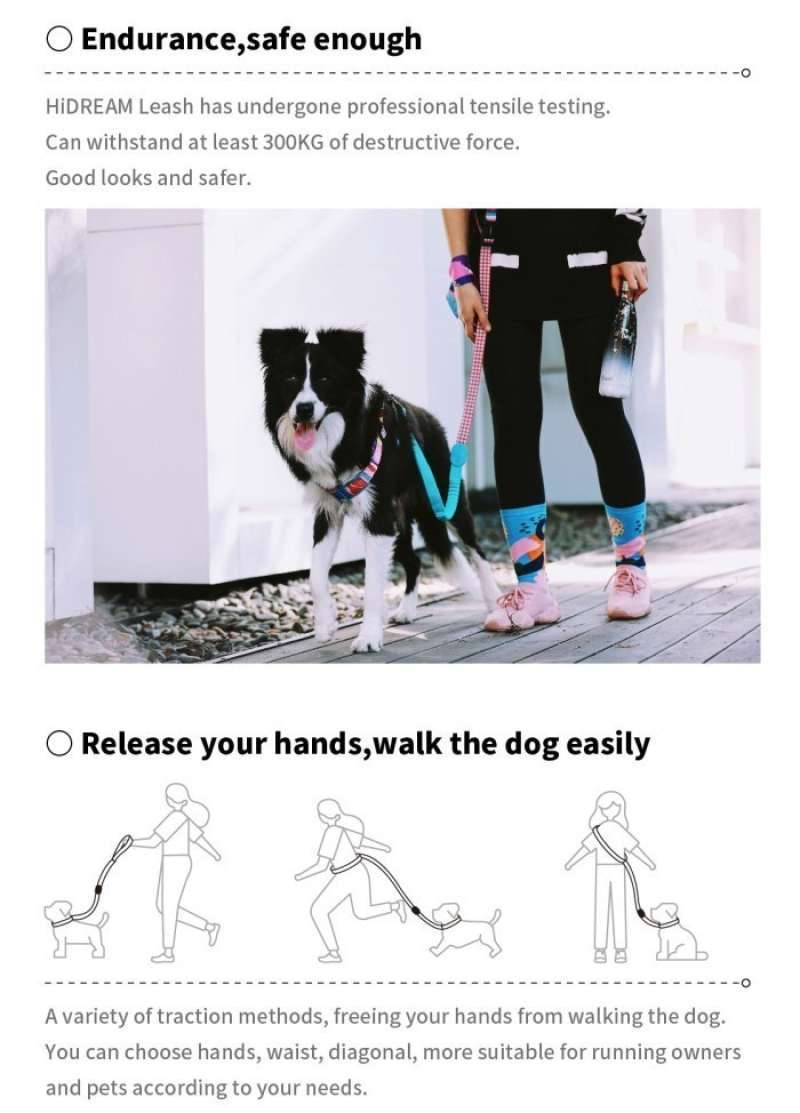 Promo HiDream Profusion Multifunction Dog Leash Tali Tuntun Anjing ...