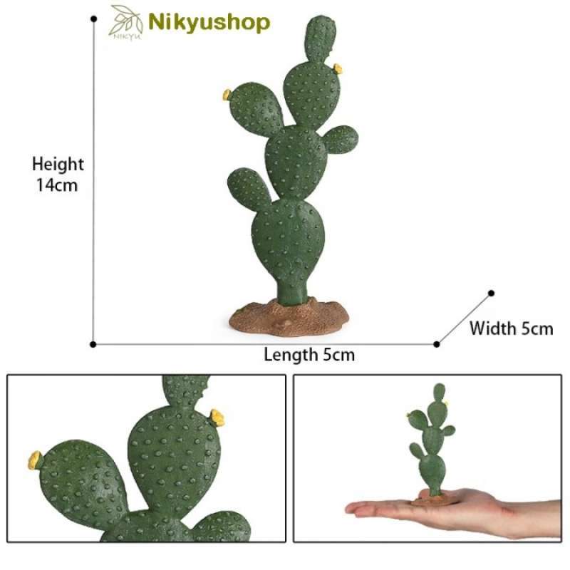 Promo MAINAN EDUKASI PAJANGAN MINIATUR TANAMAN POHON KAKTUS TREE ...