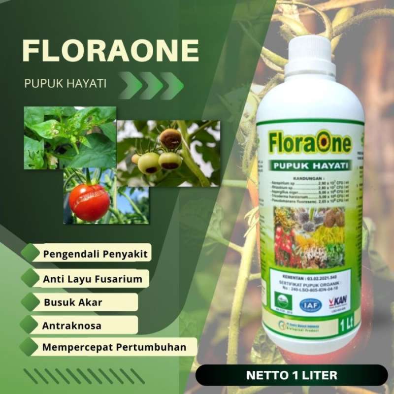 Promo Obat Layu Fusarium Cabe Cabai, Pupuk Tricoderma Fungisida Hayati Diskon 33% di Seller ...