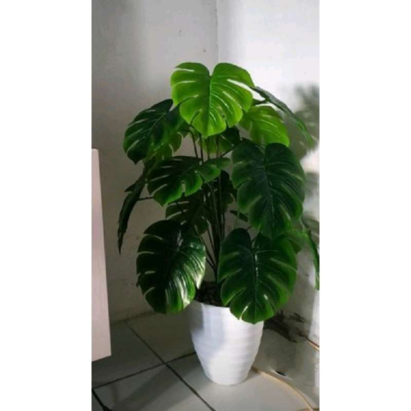 Promo Tanaman Monstera jumbo super L pot tawon Daun Monstera artificial ...