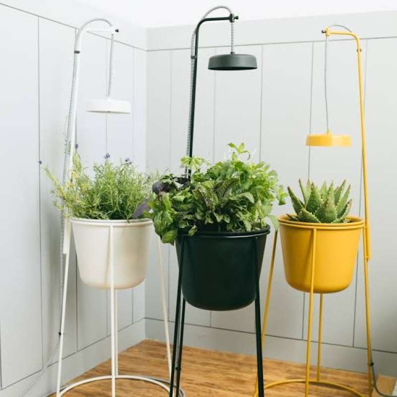 Jual Uplift Planter & Grow Light Plants Stand Standing Lampu Tanaman ...