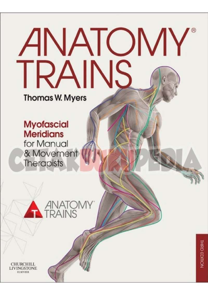 Jual Book Myofascial Meridians 4 Thomas Myers Anatomy Trains Di Seller ...
