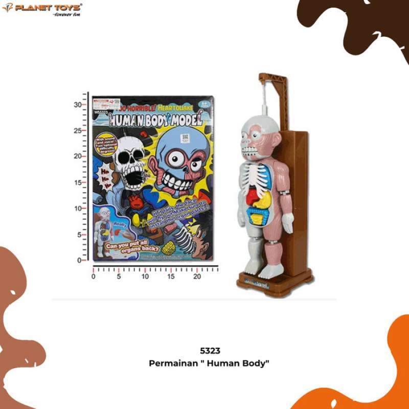 Jual Mainan Edukasi Human Body Anatomi Tubuh Model Planet Toys Di ...