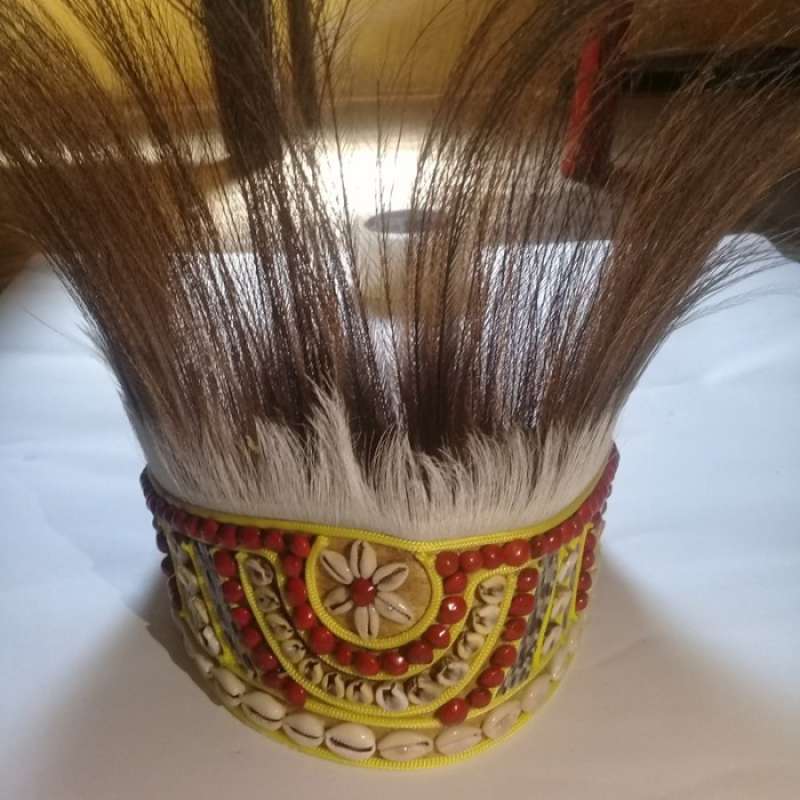 Jual Topi Mahkota Adat Papua Asli Dari Bulu Kasuari Di Seller Kingyo ...