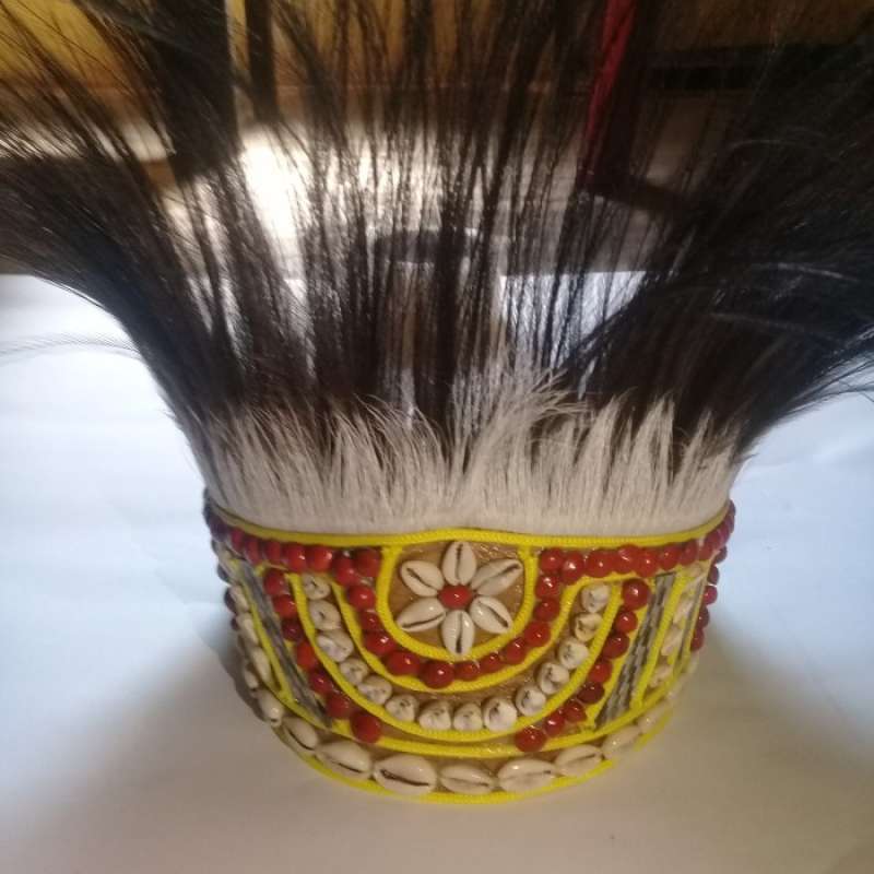 Jual Topi Mahkota Adat Papua Asli Dari Bulu Kasuari Di Seller Kingyo ...