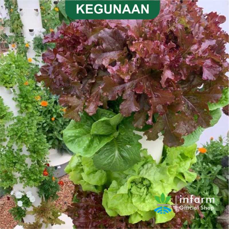 Promo Infarm - Paket Tower Instalasi Hidroponik 18 Lubang Dft Vertikal ...