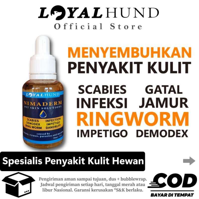 Promo Obat Kulit Anjing Gatal Luka, Scabies, Jamur, Demodex, Infeksi ...