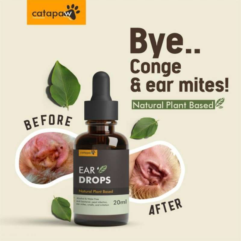 Jual Catapaw Obat Tetes Telinga Kucing Anti Earmites Conge Gatal Infeks ...
