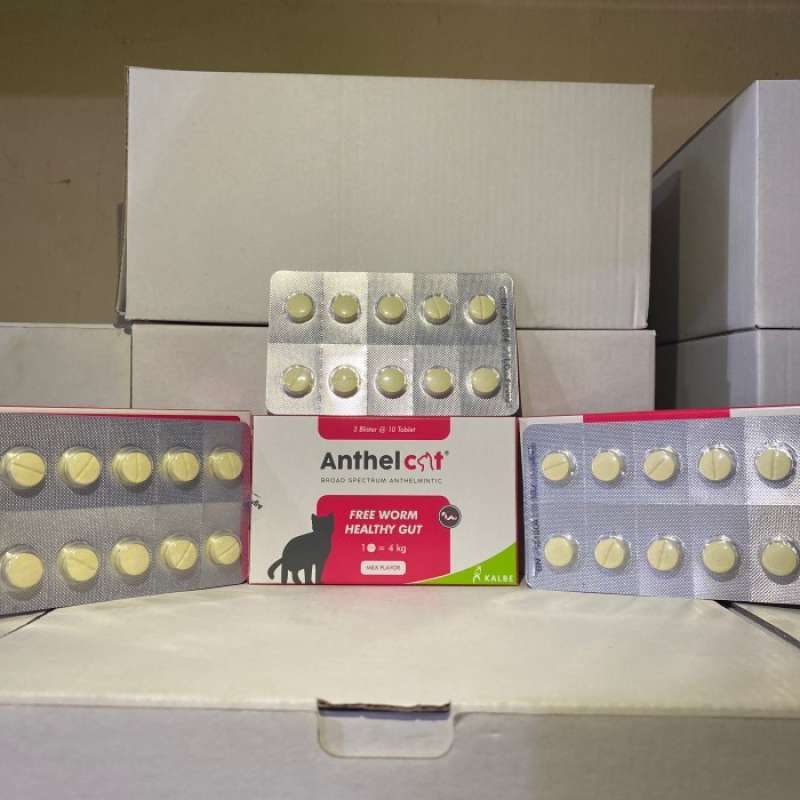Jual Anthel Cat 30 Tablet Obat Cacing Kucing Kalbe Farma Di Seller ...