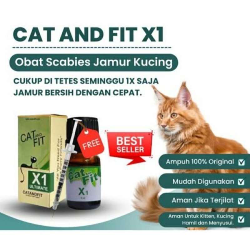 Jual Cat & Fit / Cat And Fit Â€” X1 Ultimate Di Seller Aghanim ...