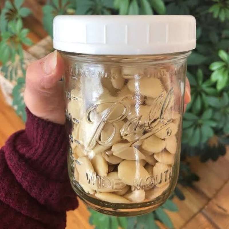 Jual Ball Mason Jar - Plastic Cap Tutup Plastik Putih - Wide Mouth 8 ...
