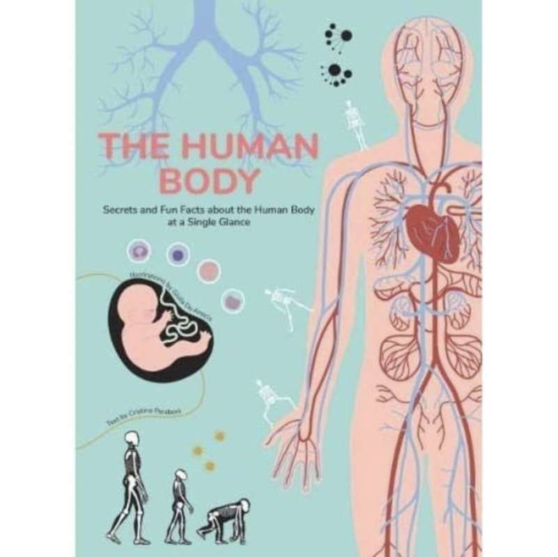 Promo The Human Body: Secret Fun Fact About Human Body Encyclopedia ...