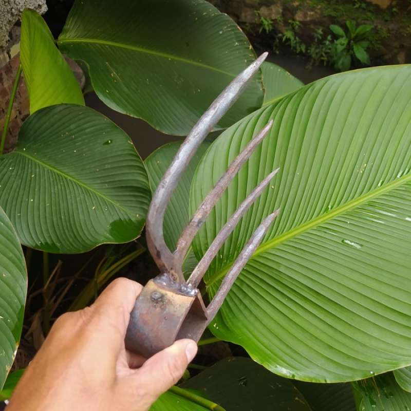 Jual Cangkul Garuk Gacok Tanah Atau Sampah Baja Per Tempa Di Seller Yama Cengkareng Timur