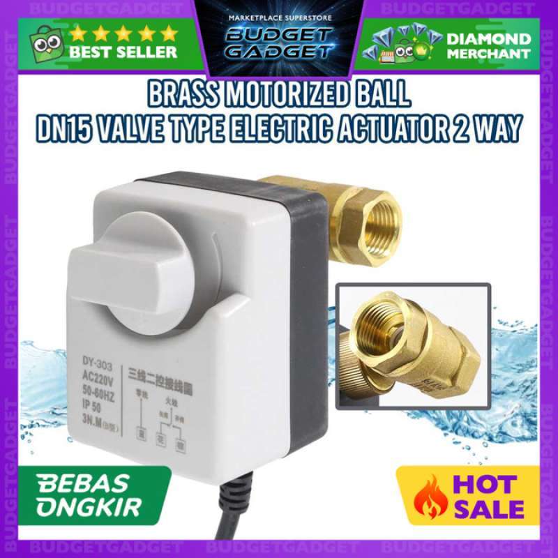 Jual Nbcj Brass Motorized Ball Valve Electric Actuator 2 Way Dn15 ...